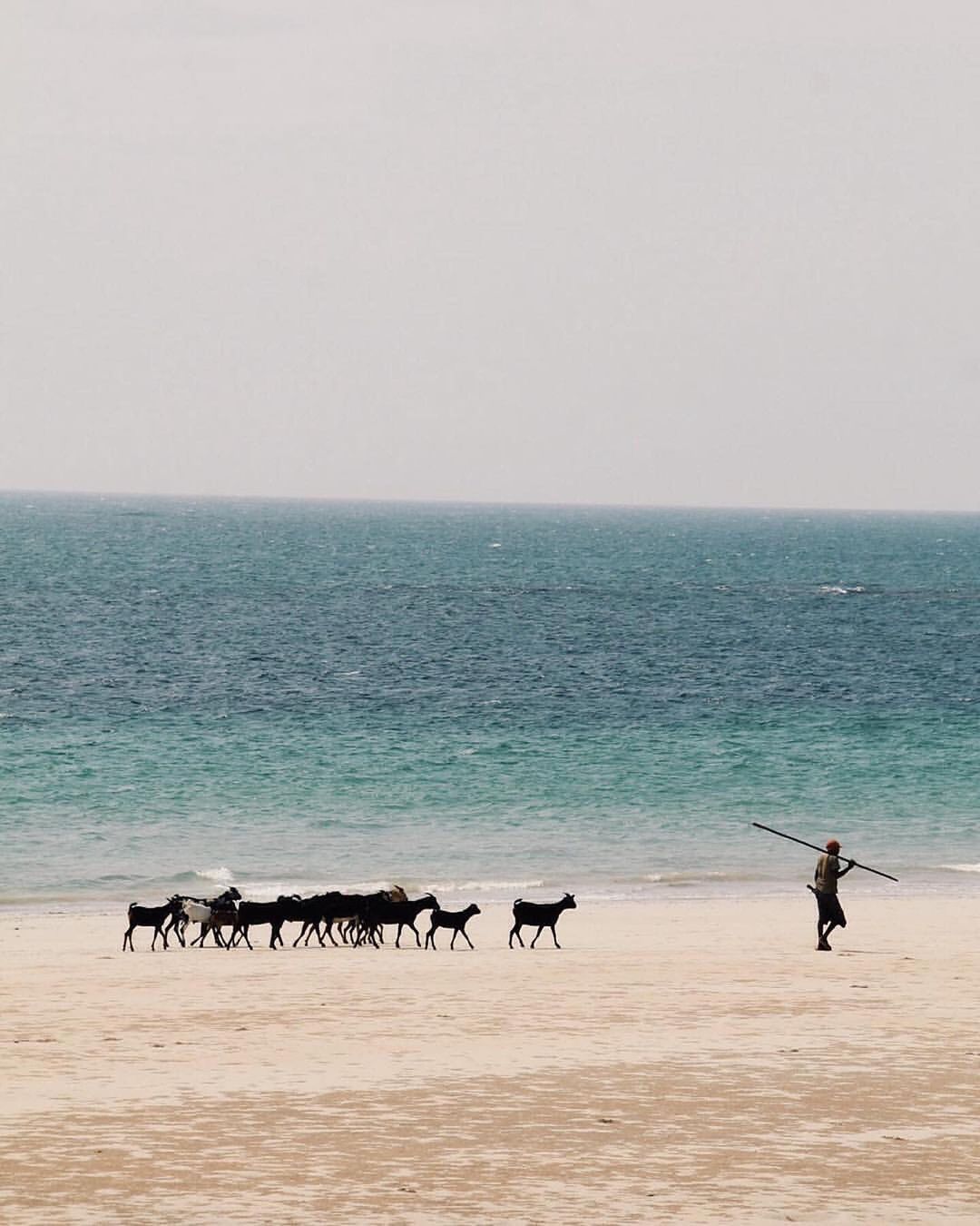Lamu Travel Inspiration - No Limit Ideas
